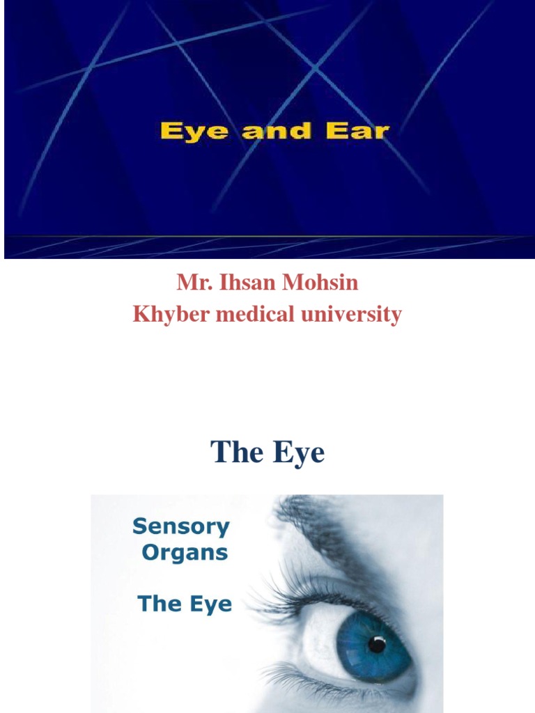 The Healthy Eye: Structure, Function and Common Eye Diseases | PDF ...