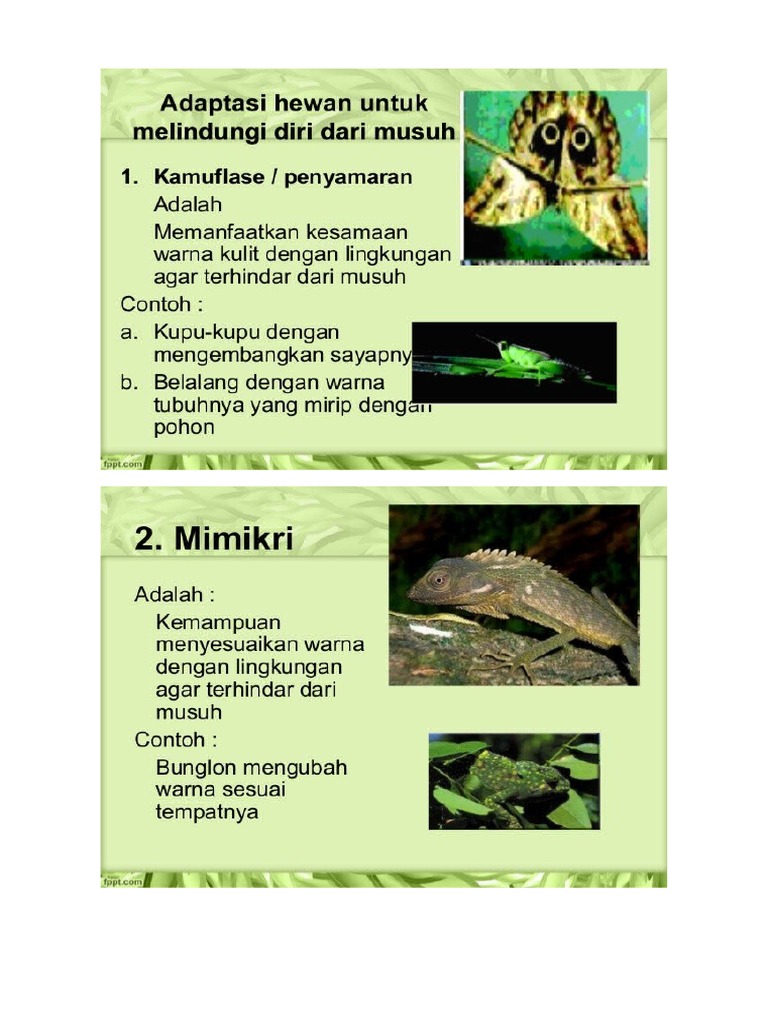 Adaptasi Tingkah Laku Hewan | PDF