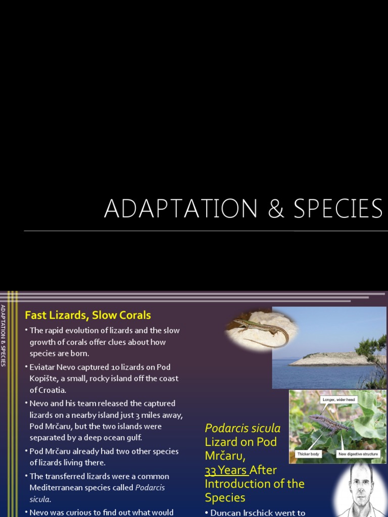 14 - Adaptation & Species | PDF | Reproduction | Species