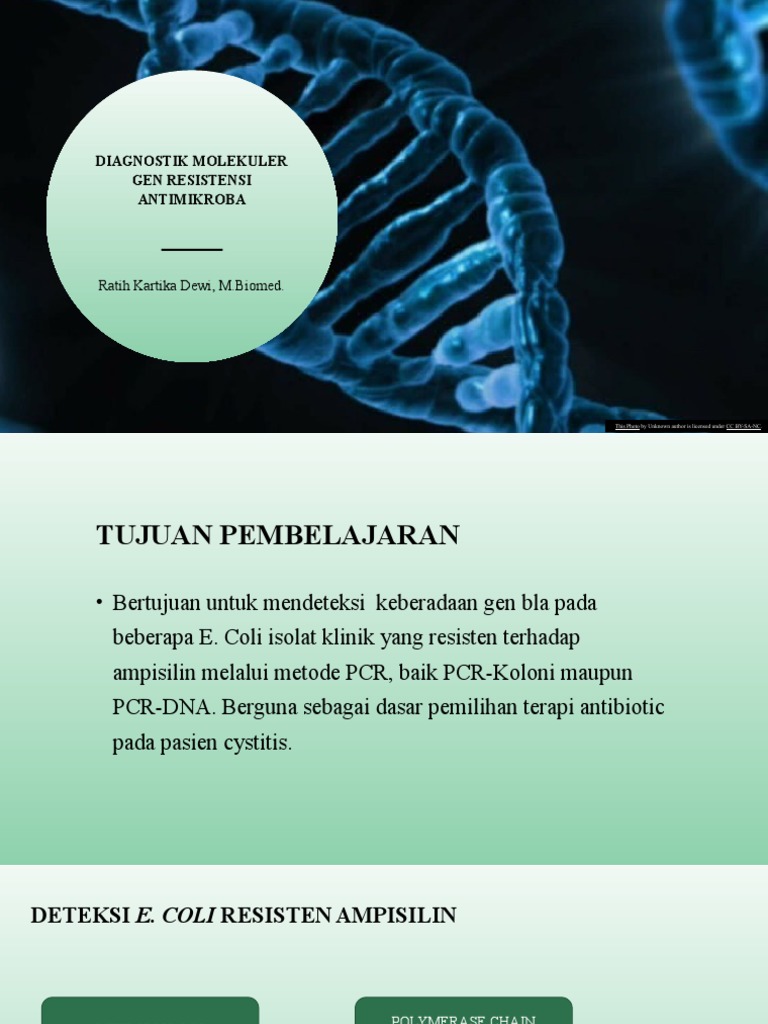 Diagnostik Molekuler Gen Resistensi Antimikroba | PDF | Gel ...