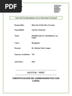 Identificación de Almidón con Lugol | PDF | Almidón | Química