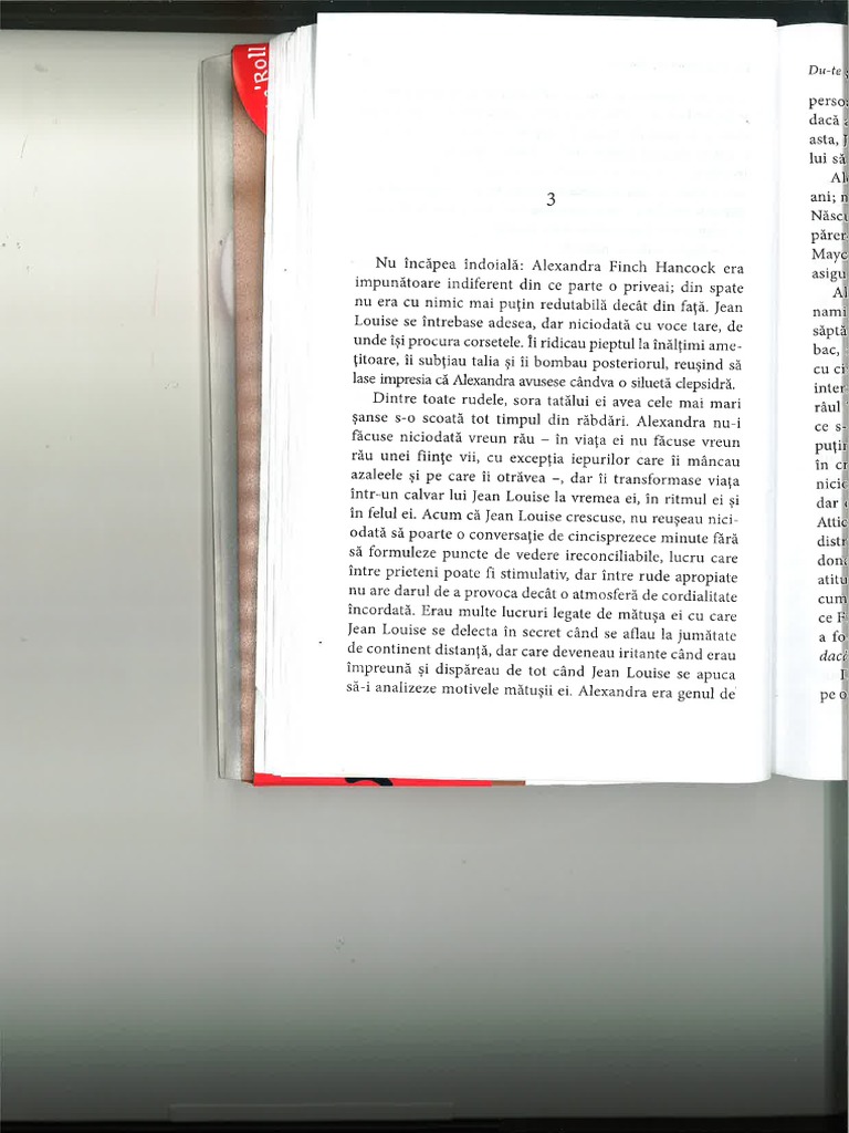 Du-Te Si Pune Un Strajer - Part2 | PDF