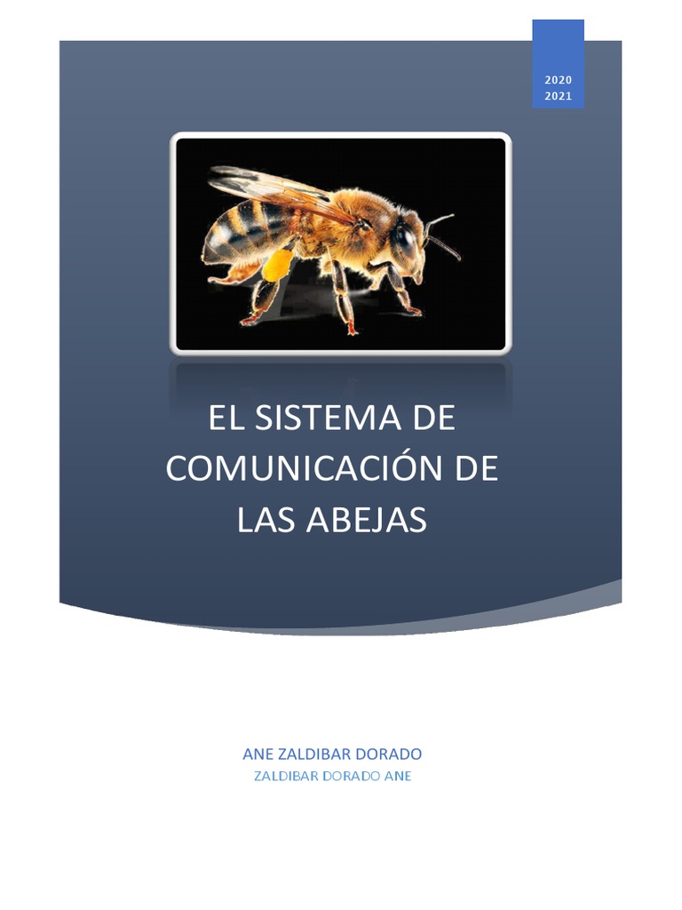 El Sistema de Comunicación de Las Abejas | PDF | Bailes | Abejas
