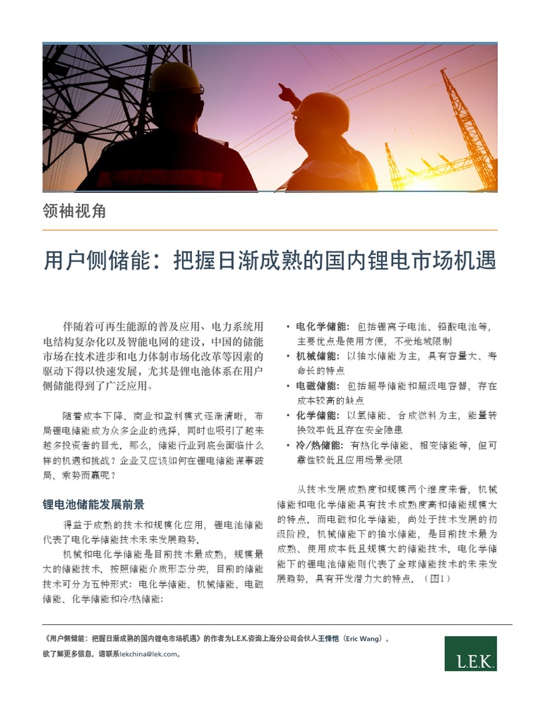 LEK-Lithium Energy Storage China (Chinese) | PDF