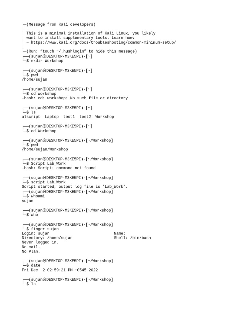 Lab Work | PDF | Information Technology Management | Software Development