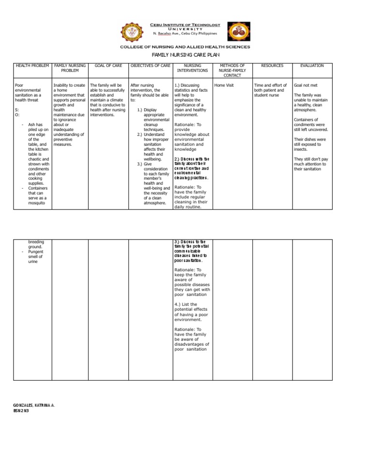 GONZALES - Family Nursing Care Plan | PDF