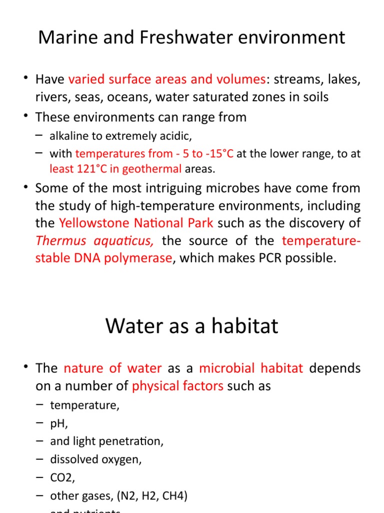 Aquatic Microbiology | PDF | Phytoplankton | Lake