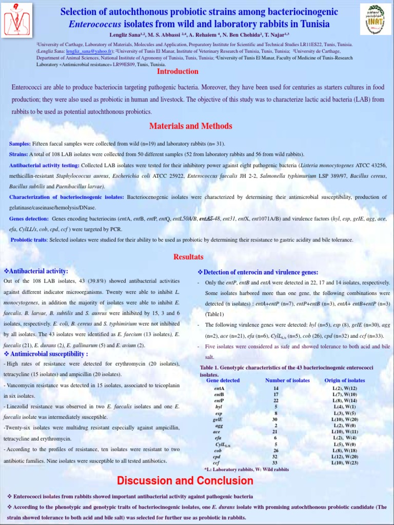 Poster Sana BMAT 31 10 2021 | PDF | Bacillus | Organisms
