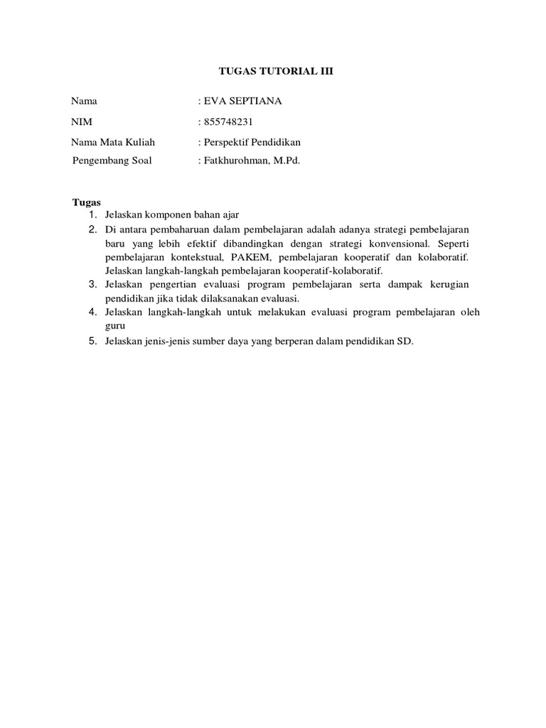 Tugas 3 Perspektif Eva Septiana | PDF