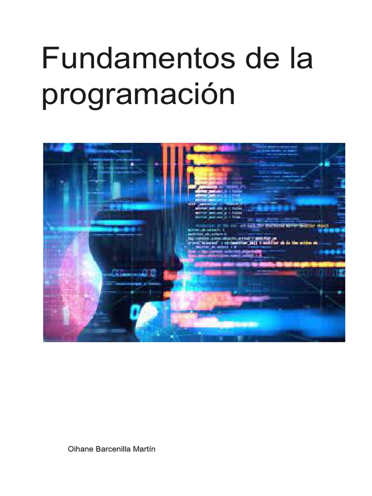 Fundamentos de La Programación | PDF