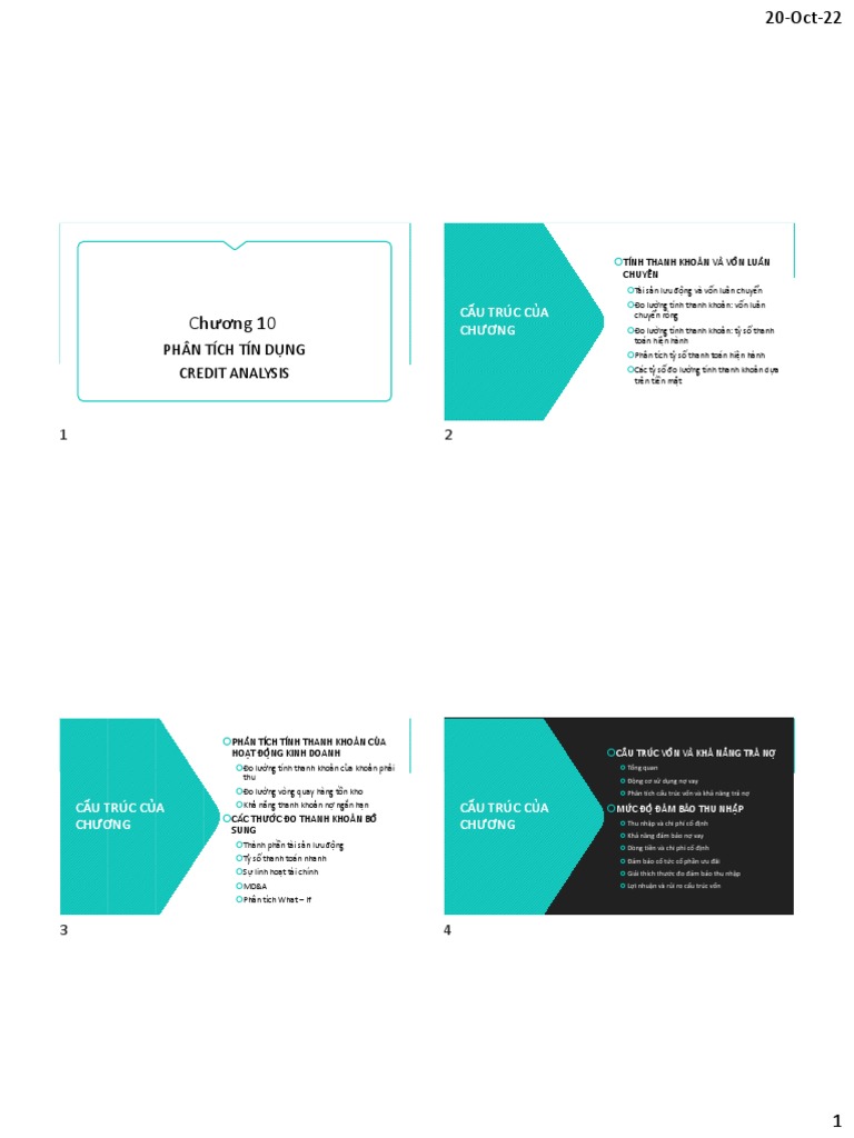 Chapter10 Credit | PDF