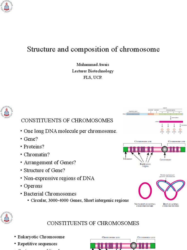 Constituents of Chromosome | PDF | Chromosome | Chromatin