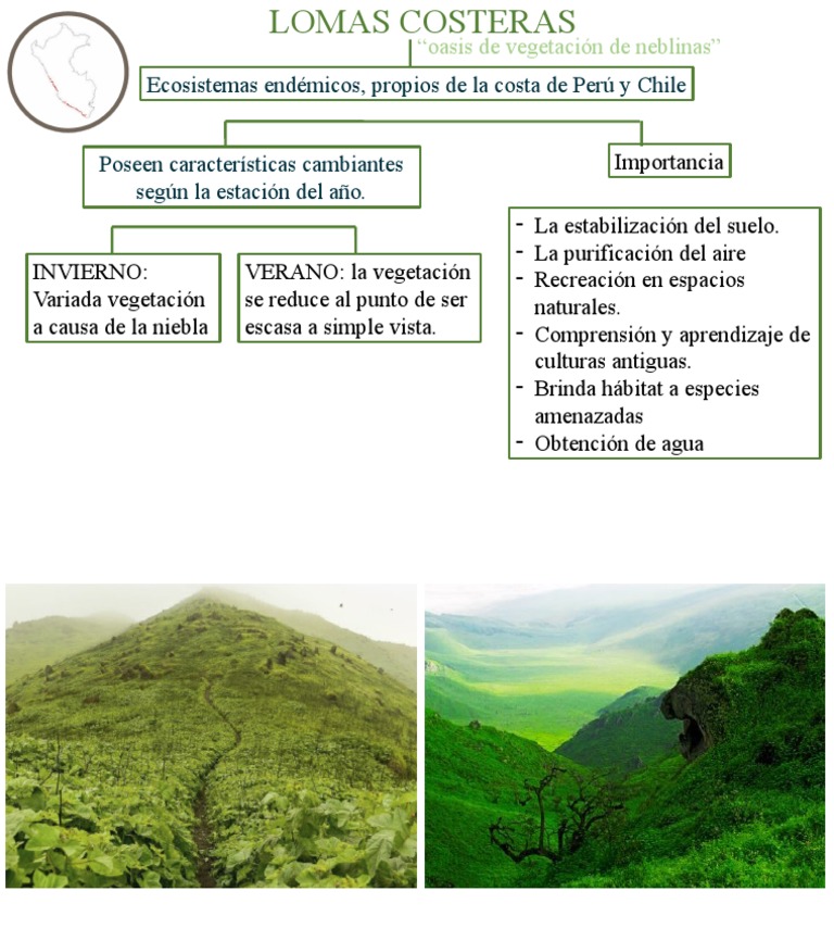 Loma Costera | PDF