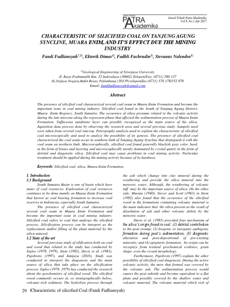 Characteristics of Silicified Coal in Muara Enim | PDF | Sedimentology ...