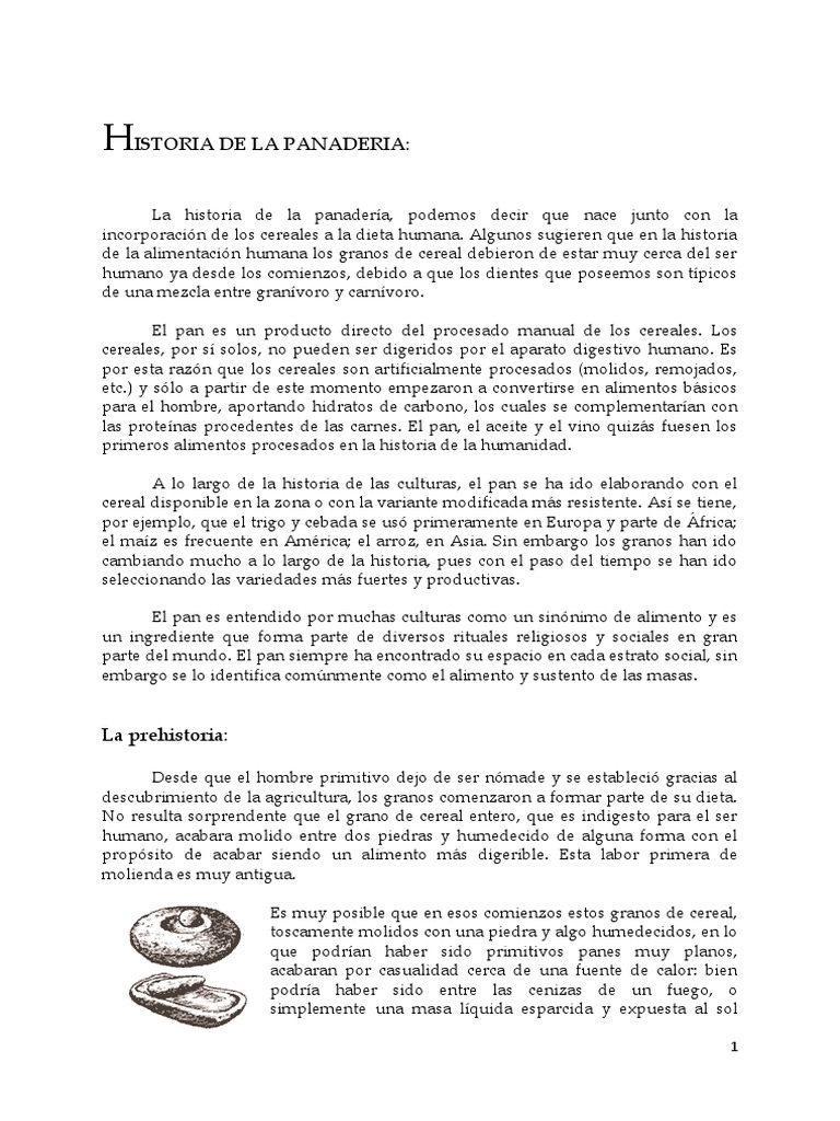 Historia de La Panaderia | PDF | Panes | Panadería