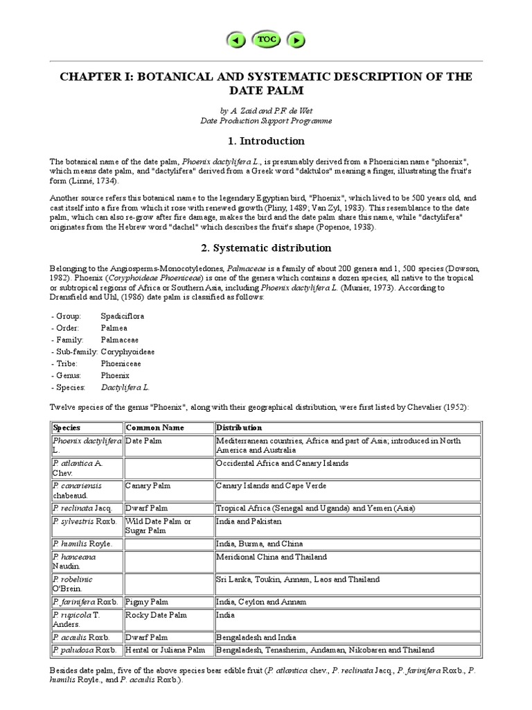 Chapter I - Botanical and Systematic Description of The Date Palm | PDF ...