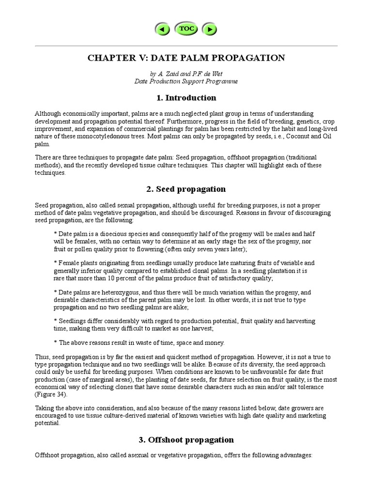 Date Palm Offshoot Propagation Guide | PDF | Seed | Auxin