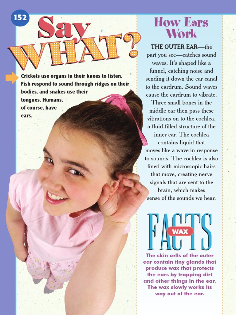 Ears | PDF | Ear | Sensory Organs