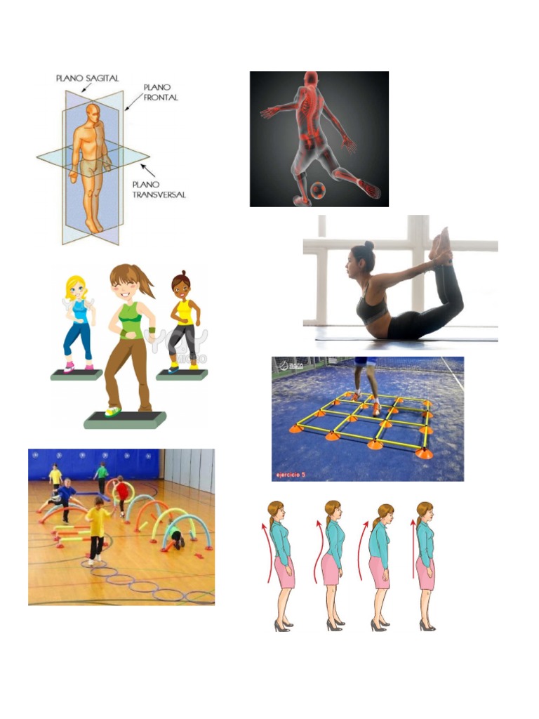 Fisica Ohsi | PDF