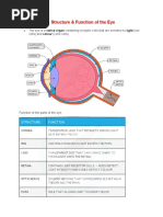 IGCSE 0610 - EYES Sense Organs NOTES (2023-2025) | PDF | Eye | Retina