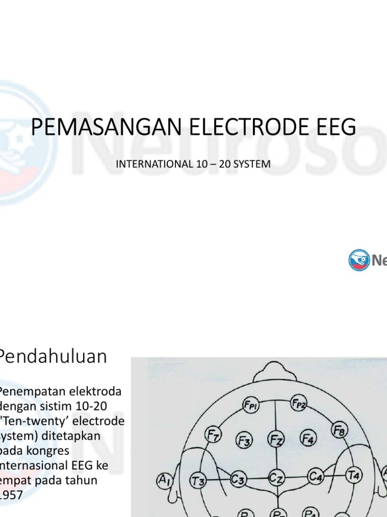 Pemasangan Elektroda EEG 10-20 | PDF