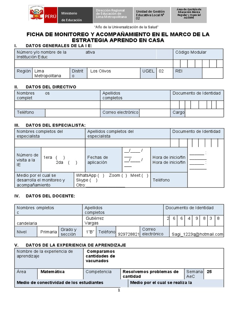 Ficha Rellenada Anexo 2 | PDF | Evaluación | Maestros