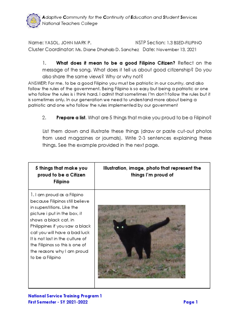 Yasol Johnmark NSTP Task1 1.3bsedfilcy2 | PDF