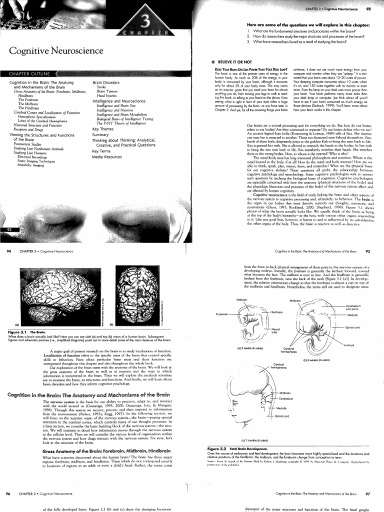Sternberg Sternberg, CH 3 | PDF | Limbic System | Brain