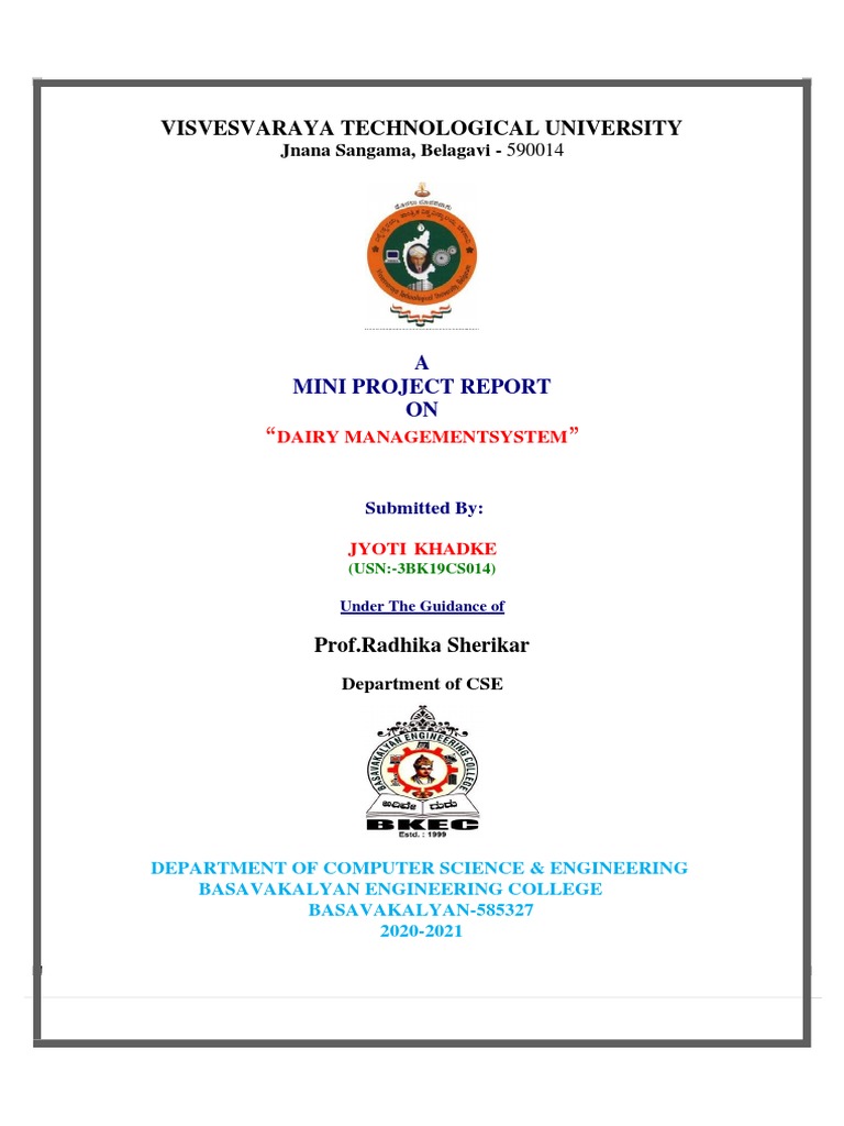 DFMS Report | PDF | Databases | Conceptual Model