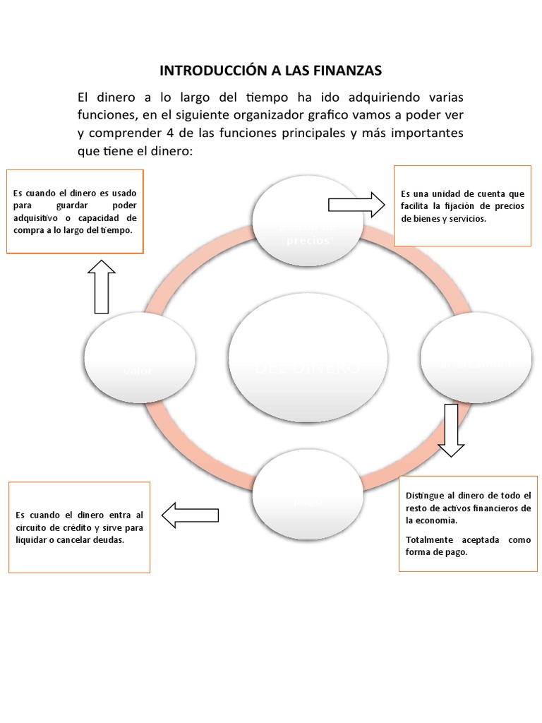 Organizador Gráfico | PDF