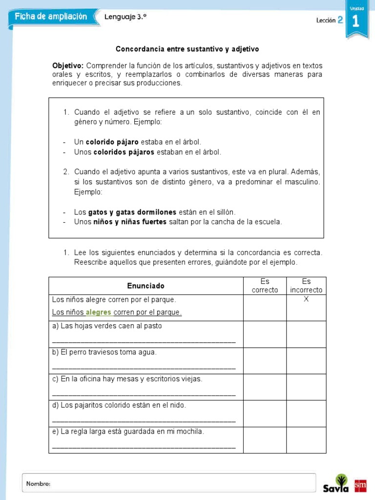 Concordancia Sustantivo-Adjetivo | PDF | Adjetivo | Sustantivo