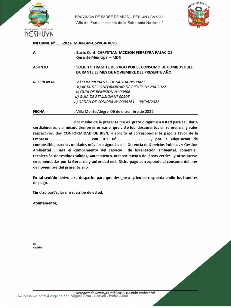 Informe de Pago | PDF | Economias