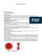 Red Blood Cell Adaptations Explained | PDF
