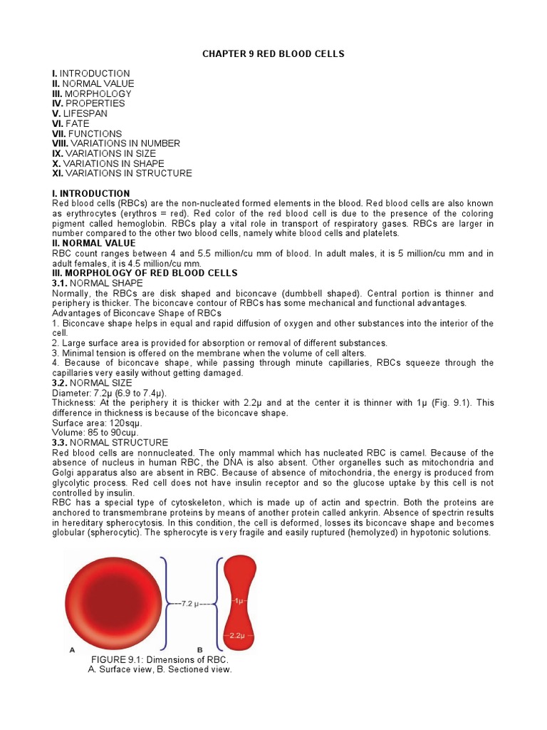 Chapter 9-Red Blood Cells | PDF | Red Blood Cell | Blood