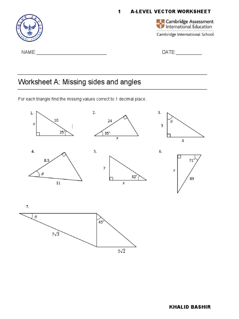 FOR BJSS Final as-Vector-Worksheet-2022 | PDF | Geometry | Mathematics
