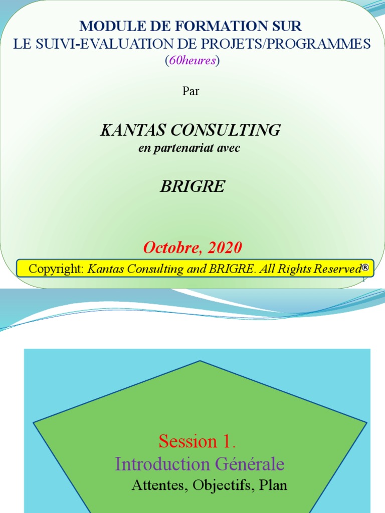 Module de Formation en S.E. Projets Et Programmes 2020final | PDF | Gestion de projet ...