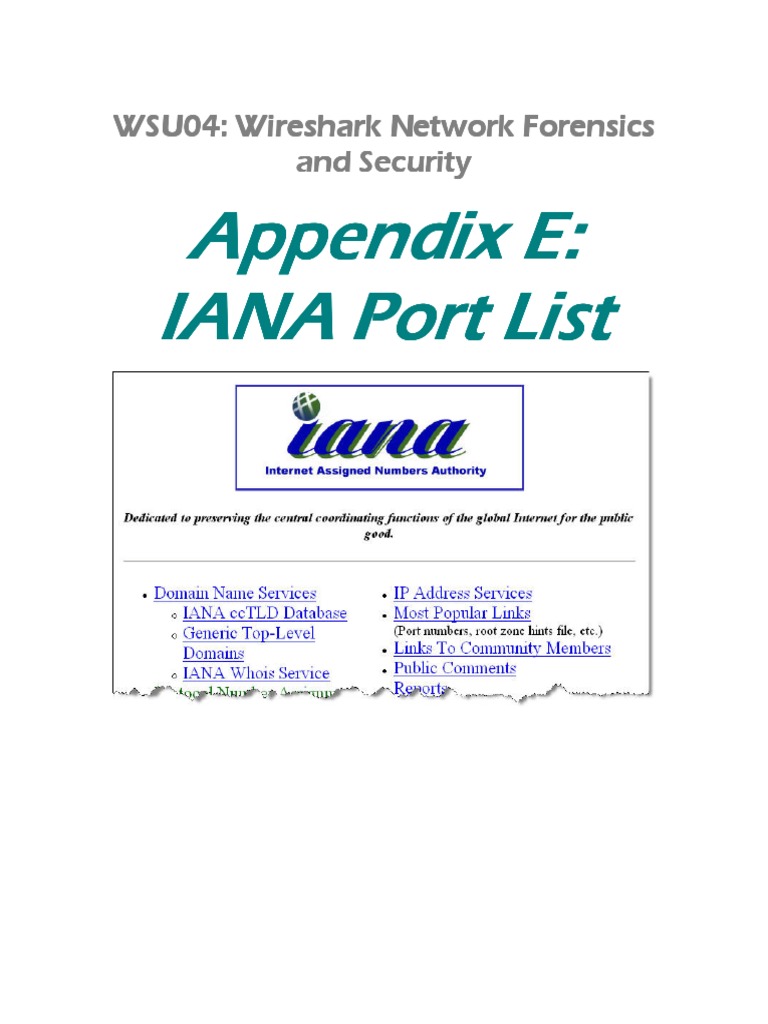 Appendix E - IANA Port List | PDF | Port (Computer Networking) | Internet Protocol Suite
