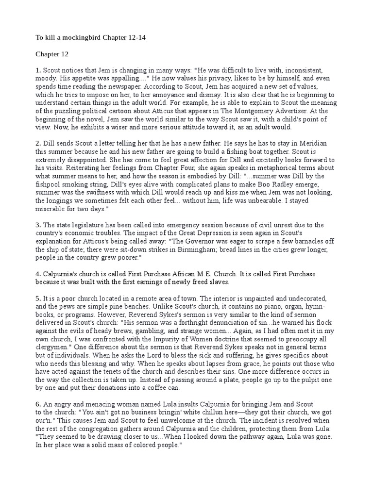 Summary of Chapters 12-14 in TKAM | PDF | To Kill A Mockingbird