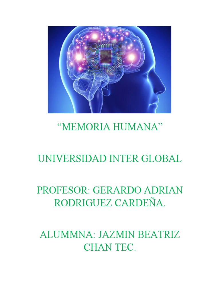 Mapa mental de Memoria Humana | PDF | Memoria | Aprendizaje