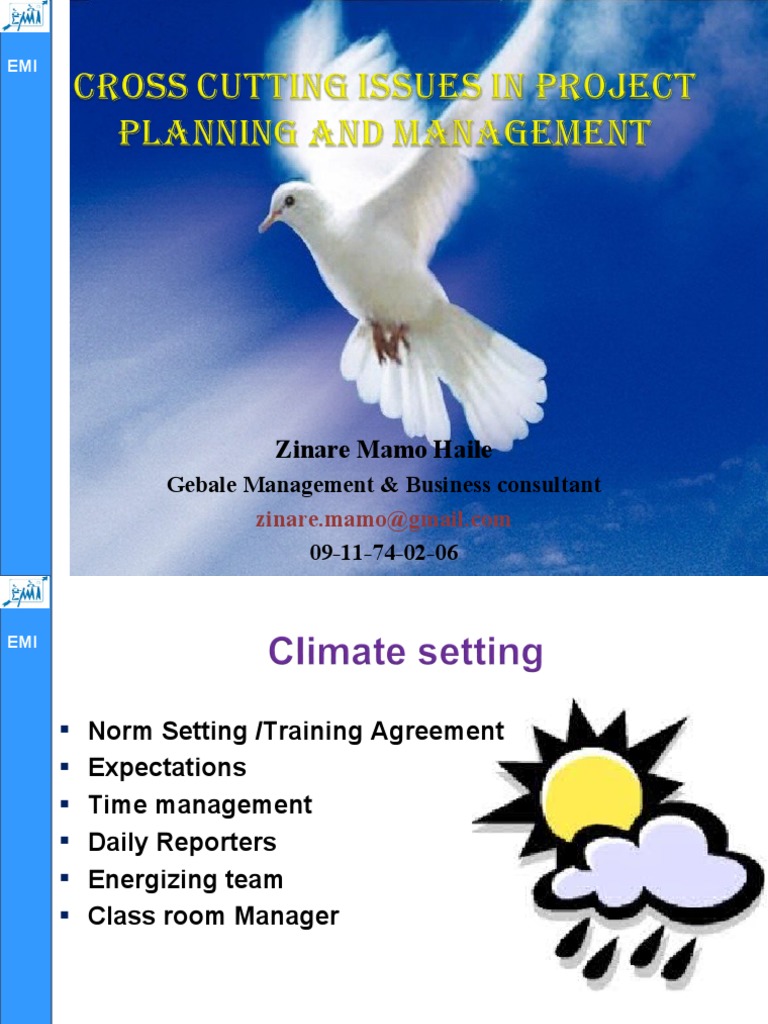 Gender Mainstreaming in Project Management | PDF | Disability | Evaluation