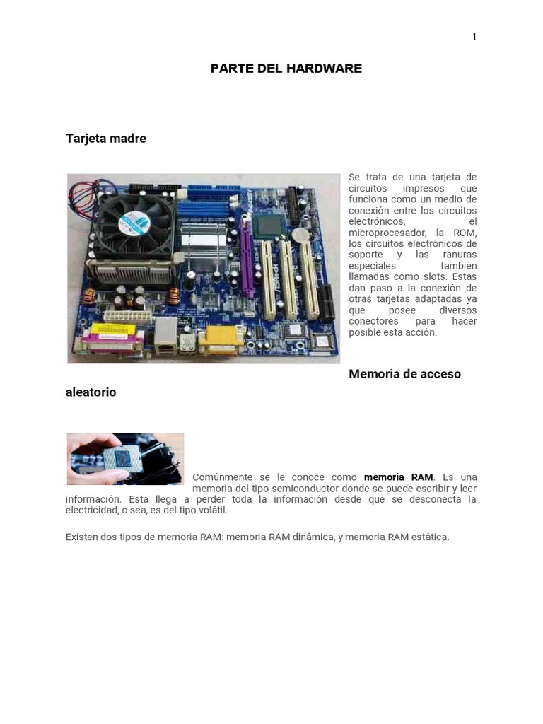 Parte Del Hardware | PDF | Hardware de la computadora | Almacenamiento ...