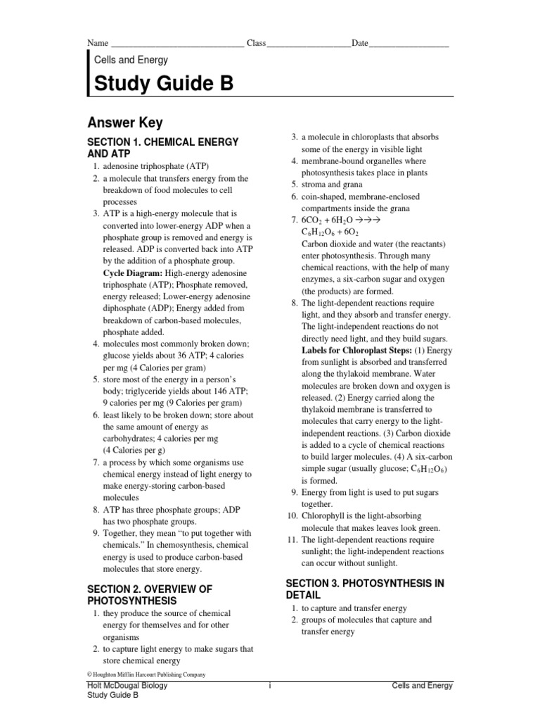 Study Guide II Trim | PDF