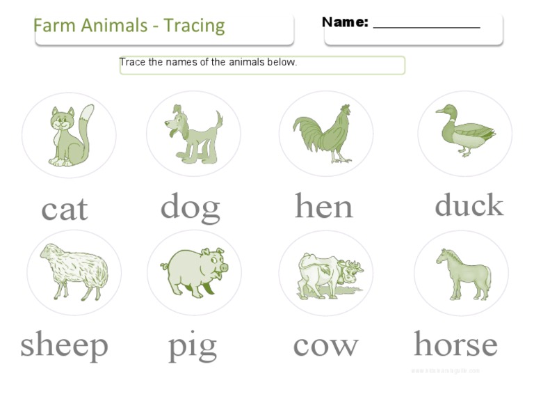 Farm Animal Name Tracing Worksheet | PDF