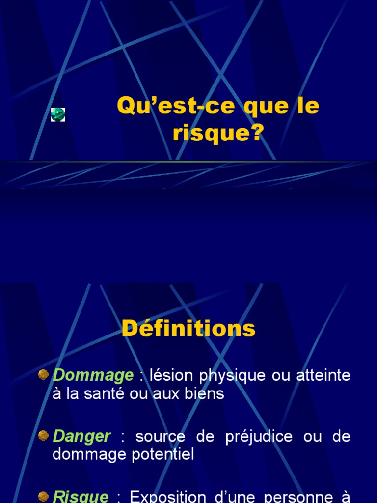 Risque (Definitions Modelisation Exercices) | PDF | Risque