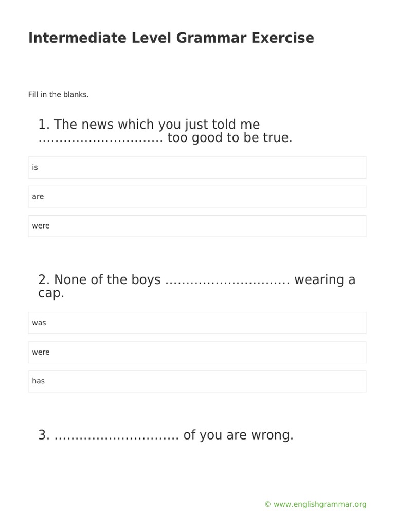 Intermediate Level Grammar Exercise | PDF