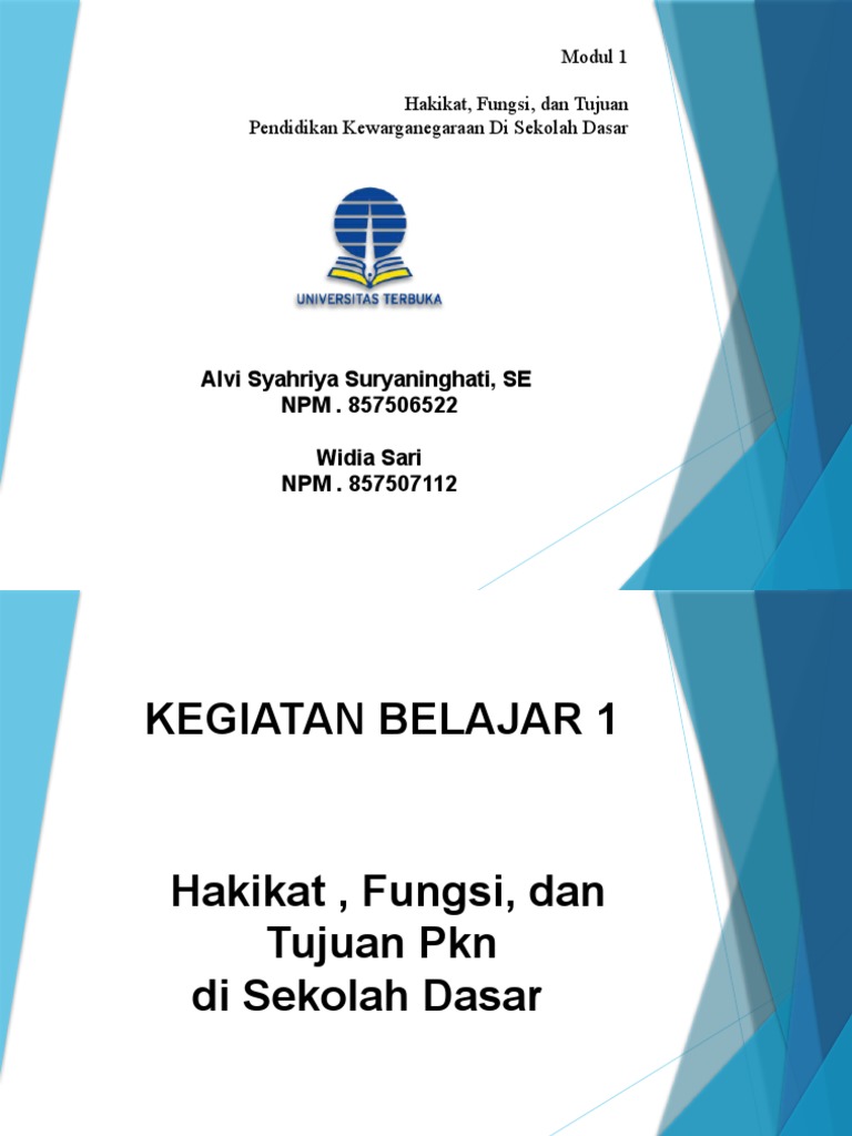 Modul 1 PKN | PDF