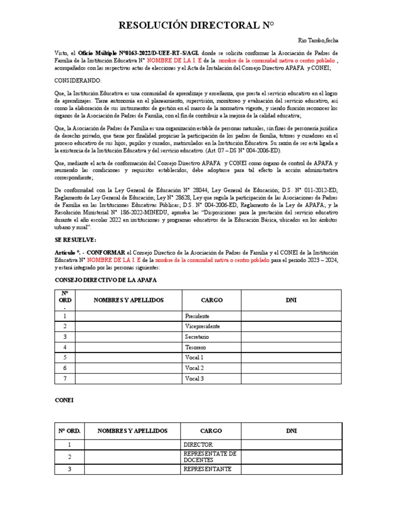 Modelo RD (Apafa) (Conei) | PDF | Institución | Gobierno