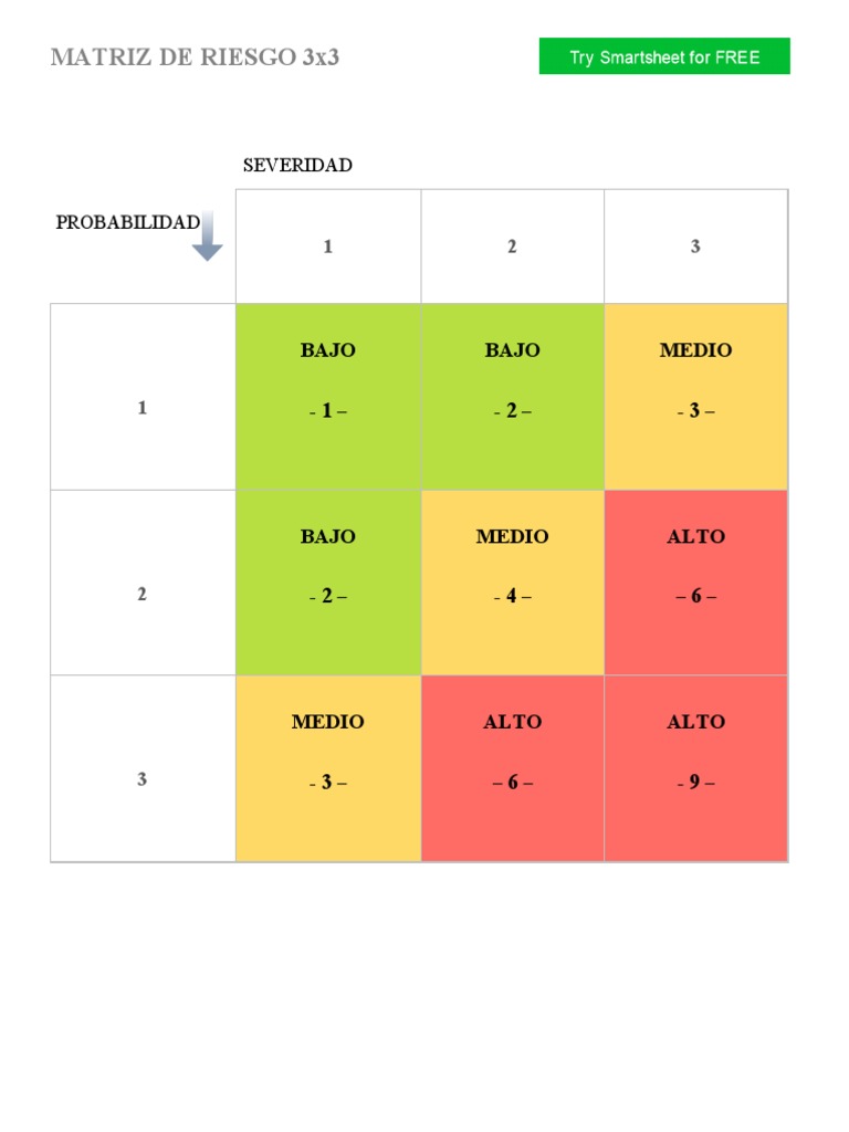 IC 3x3 Risk Matrix 27139 - WORD - ES | PDF