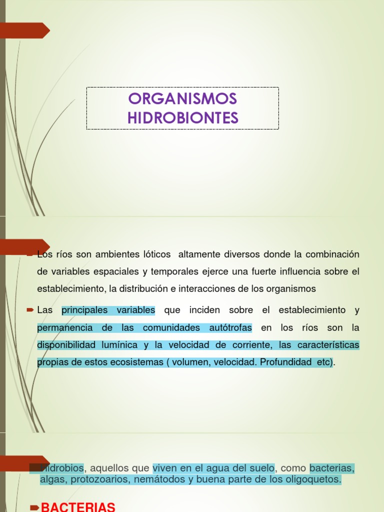 Organismos Hidrobiontes | PDF | Las bacterias | Fotosíntesis