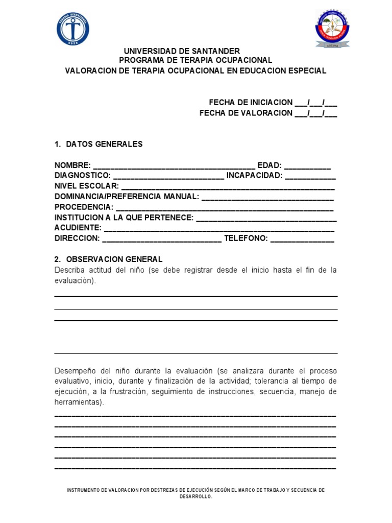 Formato Valoracion | PDF